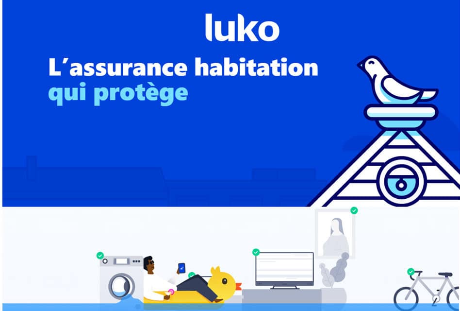 Luko : état des lieux 2021 et projets à venir en chiffres